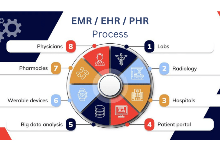 emr / ehr / phr development
